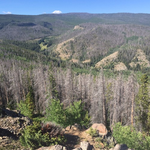 Stream Jason Willhite music | Listen to songs, albums, playlists for ...