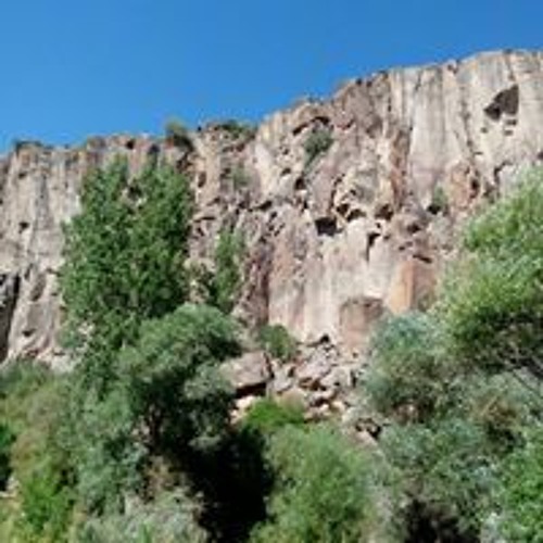 Stream Zeynep Kalender Eren music | Listen to songs, albums, playlists ...