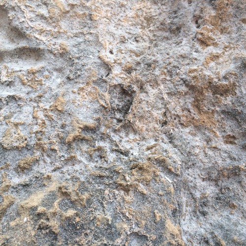 Stream Nephaz music | Listen to songs, albums, playlists for free on ...