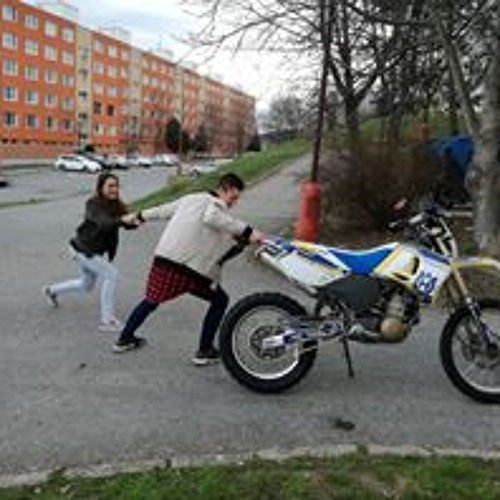 Stream Mário Paulus music | Listen to songs, albums, playlists for free ...