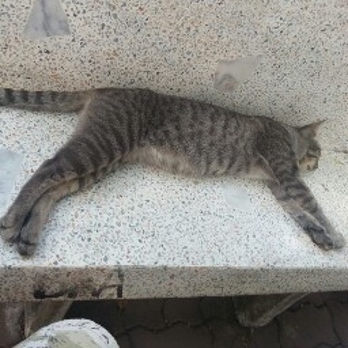 Stream necromanceee demonoid music | Listen to songs, albums, playlists ...