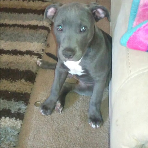 Stream Xavier Graham music | Listen to songs, albums, playlists for ...