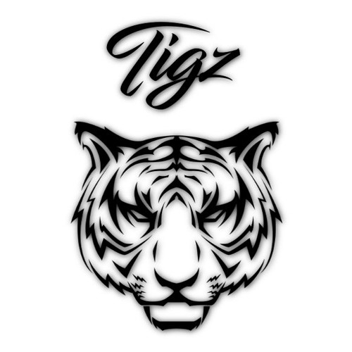 Stream TIGZ music | Listen to songs, albums, playlists for free on ...