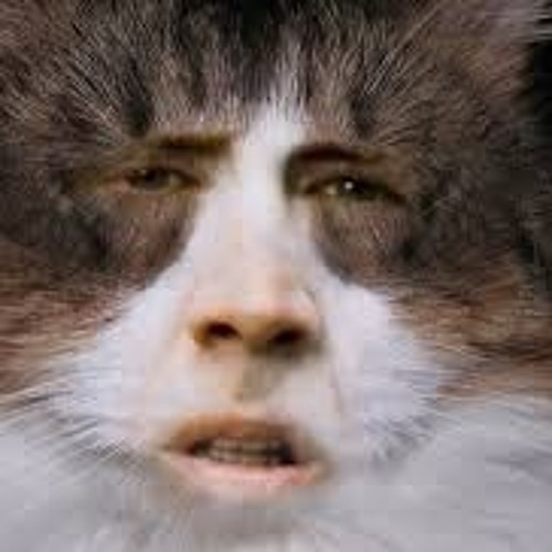 Stream Sam Bader music | Listen to songs, albums, playlists for free on ...