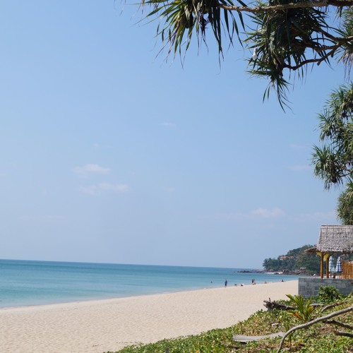 Stream Willow Walsh music | Listen to songs, albums, playlists for free ...