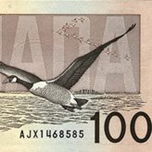 Stream Geese Échelon music | Listen to songs, albums, playlists for ...