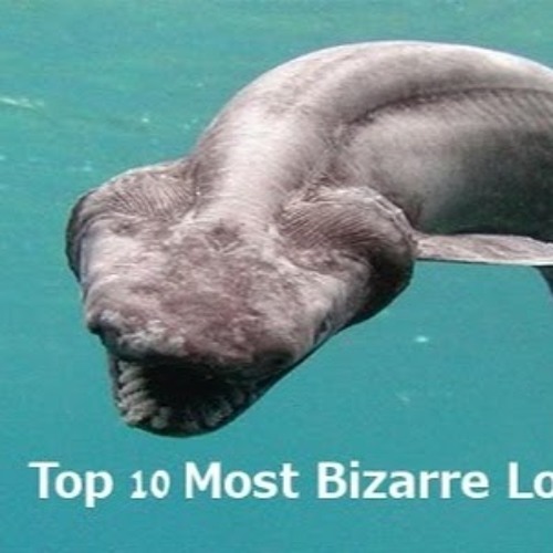 Stream Elijah Diaz music | Listen to songs, albums, playlists for free ...