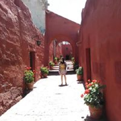 Stream Eliane Díaz Henostroza music | Listen to songs, albums ...