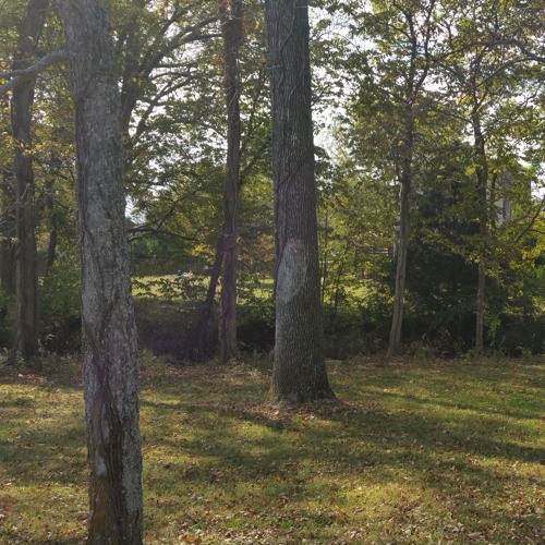 Stream Wendy Baty McLean music | Listen to songs, albums, playlists for ...