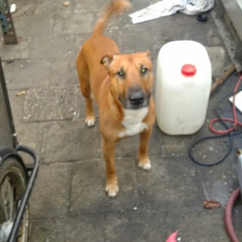 Stream Patrick Vonk music | Listen to songs, albums, playlists for free ...