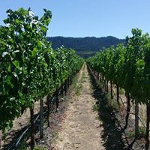 Stream Mati Kask music | Listen to songs, albums, playlists for free on ...