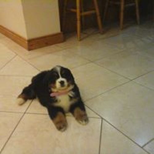 Stream Mason Byrnes music | Listen to songs, albums, playlists for free ...