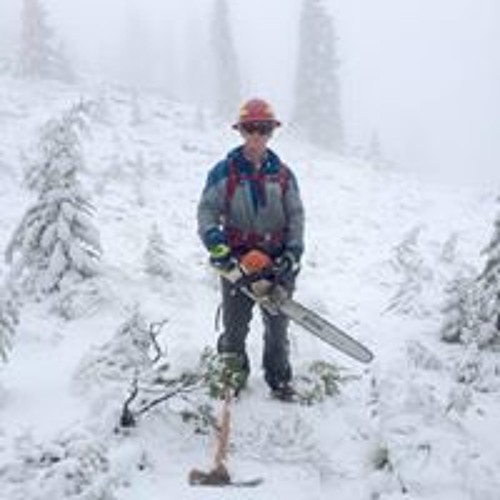 Stream Tanner Laws music | Listen to songs, albums, playlists for free ...