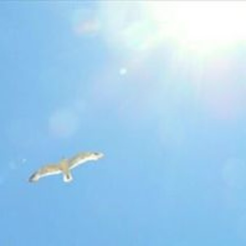 Stream Going to the city on the sea.mp3 by Diana Rani | Listen online ...