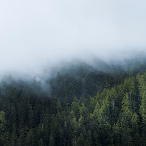 Stream Arman Ramezani music | Listen to songs, albums, playlists for free on SoundCloud