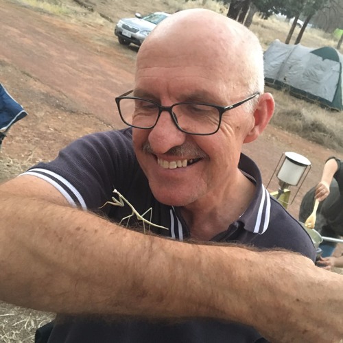 Stream Stan Nowakowski | Listen to podcast episodes online for free on ...