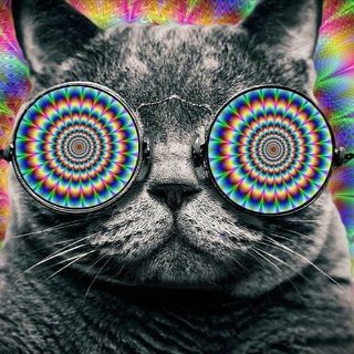 Stream Nadia Imam music | Listen to songs, albums, playlists for free ...