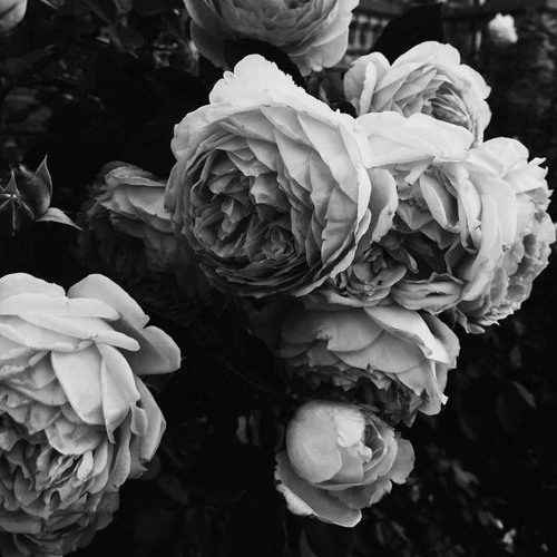 Stream uujjj music | Listen to songs, albums, playlists for free on ...