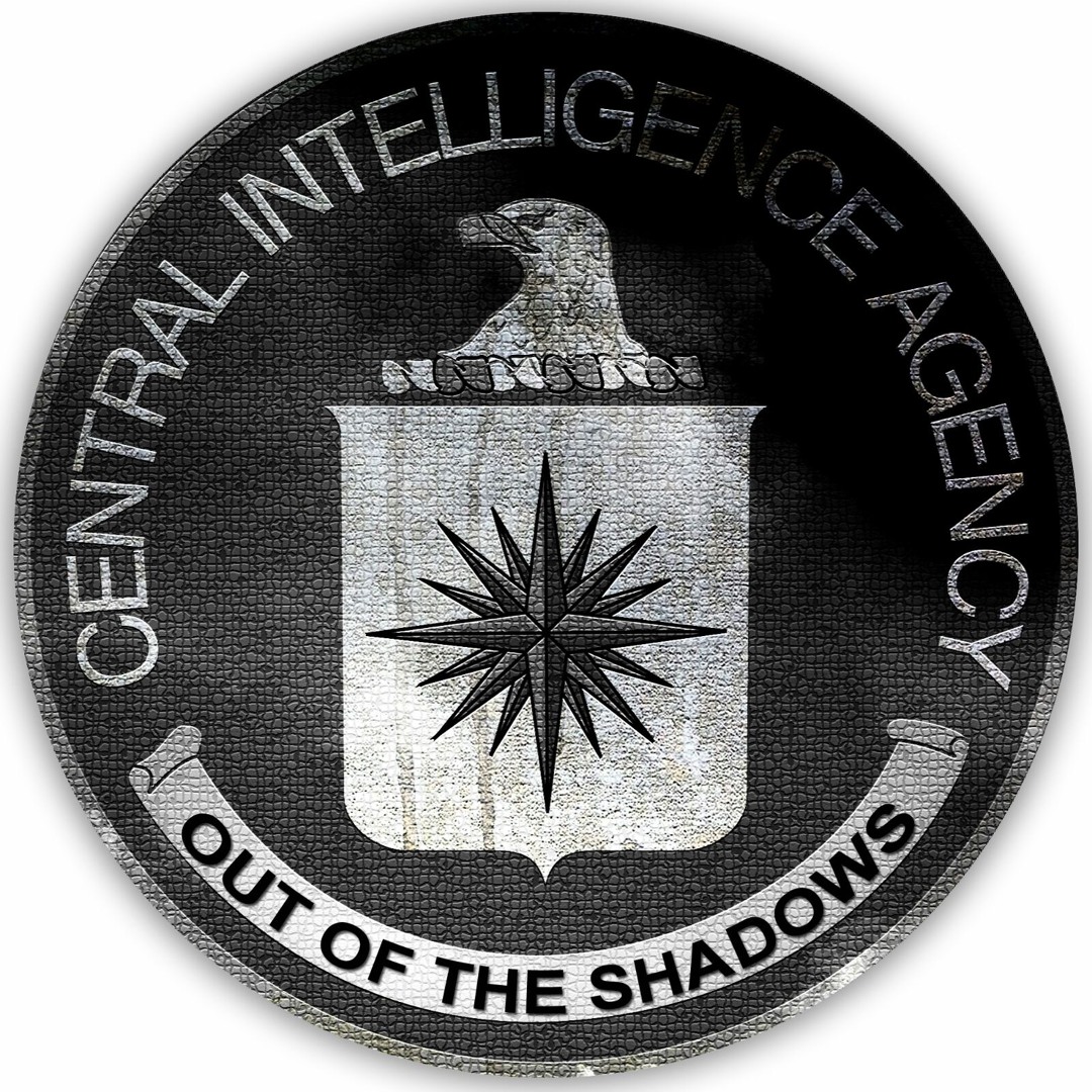 Stream Out of the Shadows Episode 4 - Dov H. Levin by Out of the ...