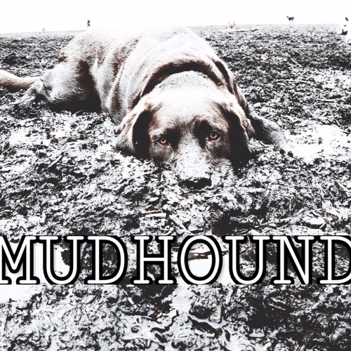 Stream MudHound music | Listen to songs, albums, playlists for free on ...