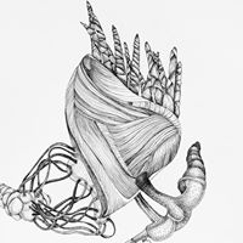 Stream Maggie Nowinski music | Listen to songs, albums, playlists for ...