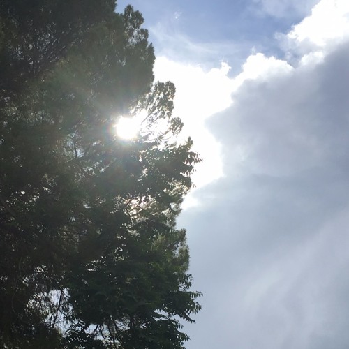 Stream Stephen_Muldrow music | Listen to songs, albums, playlists for ...