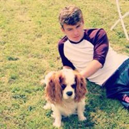 Stream Declan Cusack music | Listen to songs, albums, playlists for ...