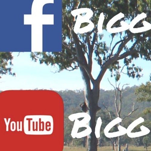 Stream Bigg Storm music | Listen to songs, albums, playlists for free ...