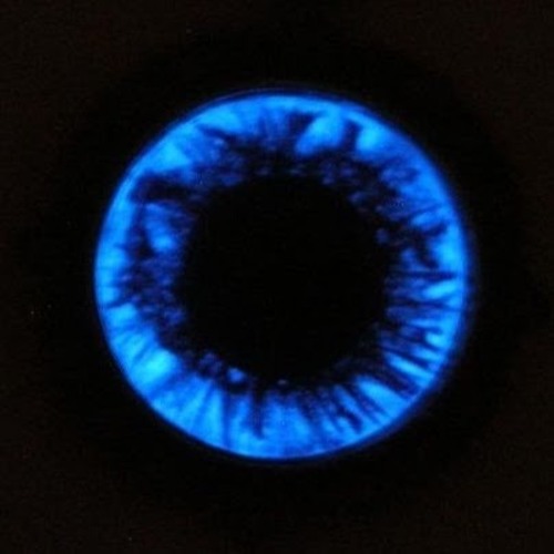 Stream Zak “Wolfeł” Kay music | Listen to songs, albums, playlists for ...