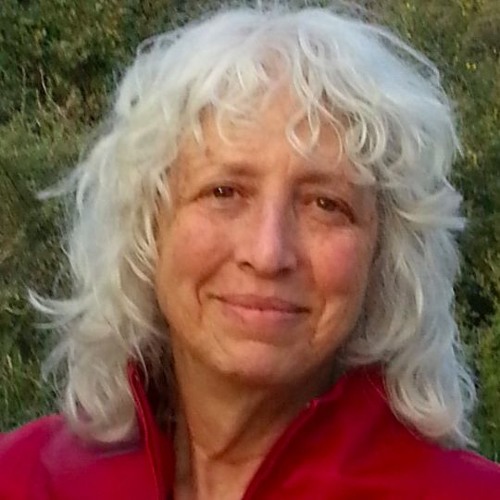 Stream Susan Devor Cogan music | Listen to songs, albums, playlists for ...