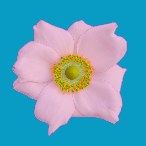 Stream Blue Delirium music | Listen to songs, albums, playlists for ...