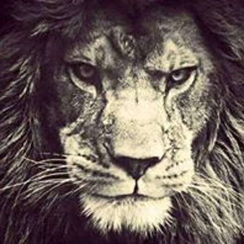 Stream Georg Lippold music | Listen to songs, albums, playlists for ...