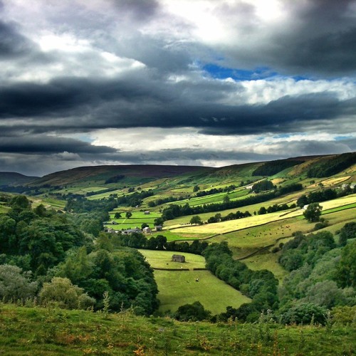 Stream Harriet Buell music | Listen to songs, albums, playlists for ...