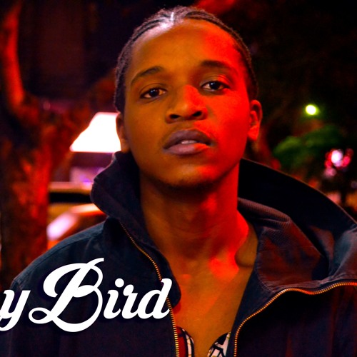 Stream thetonybird music | Listen to songs, albums, playlists for free ...