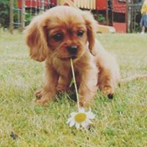 Stream TKJONES music | Listen to songs, albums, playlists for free on ...