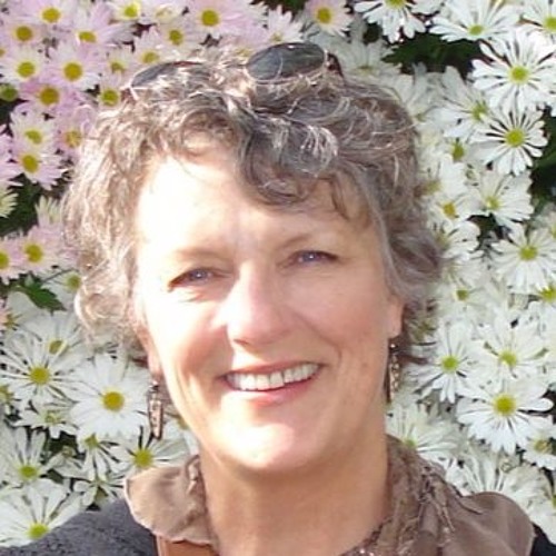Stream August 3 show (segment 17) 2017 by Lisa Denison | Listen online ...
