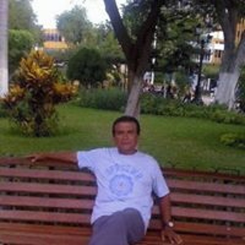 Stream SOLUCIONES NACIONALISTAS by Percy Carlos Naranjo | Listen online ...