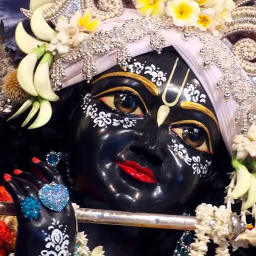 Stream Amala Harinam Prabhu Day 1 Kirtan Rasa Festival 2018.mp3 by ...