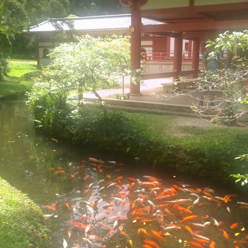 Stream unknown music | Listen to songs, albums, playlists for free on ...