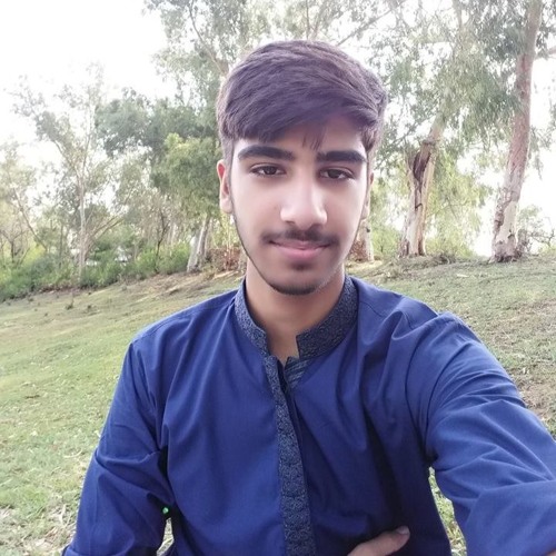 Stream Abdullah Shahid Hayat music | Listen to songs, albums, playlists ...
