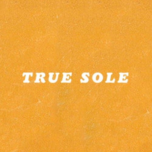 Stream True Sole music | Listen to songs, albums, playlists for free on ...