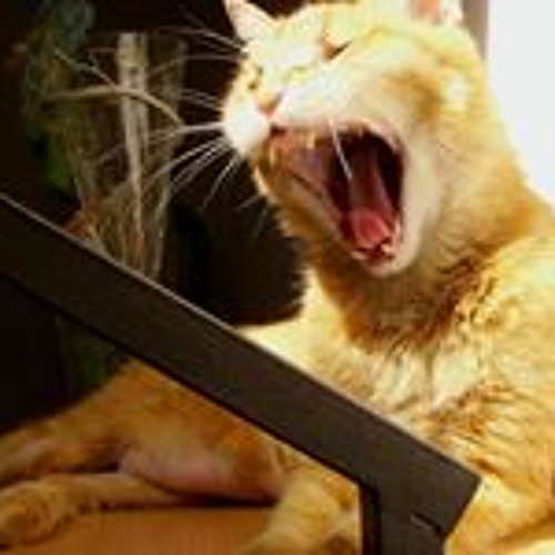 Stream Barbara Bersani music | Listen to songs, albums, playlists for ...