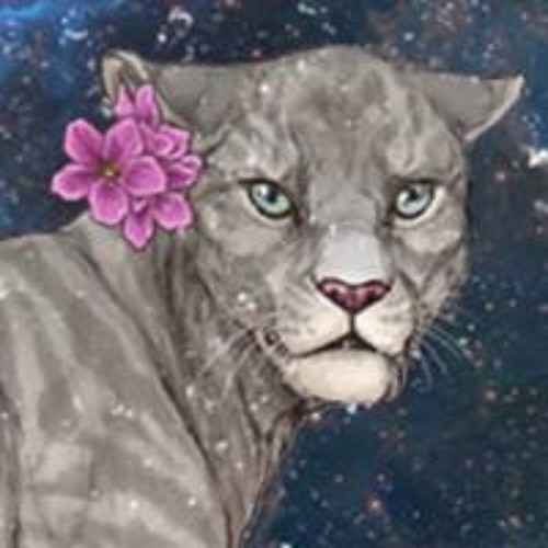 Stream Barbara Duda music | Listen to songs, albums, playlists for free ...