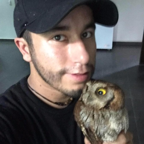 Stream Chip Reynolds music | Listen to songs, albums, playlists for ...