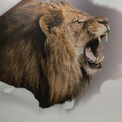 Stream Dominic Booth music | Listen to songs, albums, playlists for ...