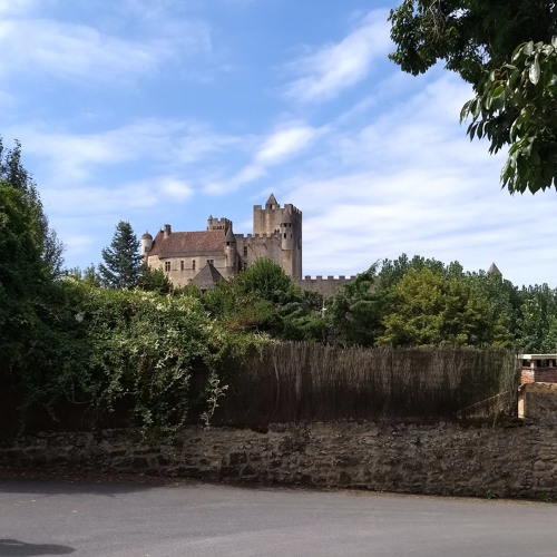 Stream Youri Schaap music | Listen to songs, albums, playlists for free ...