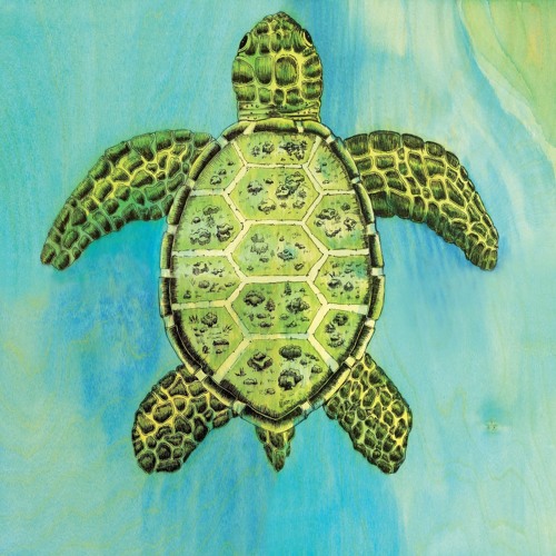 Stream Andy Adams music | Listen to songs, albums, playlists for free ...