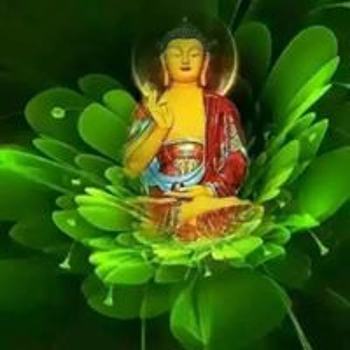 Stream Pema Pema Choki music | Listen to songs, albums, playlists for ...