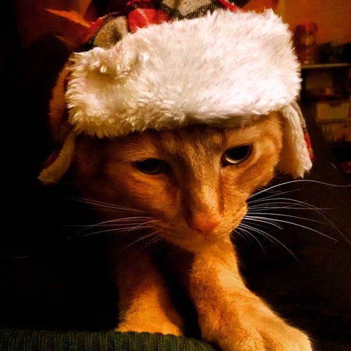 Stream Roman and Silas music | Listen to songs, albums, playlists for ...