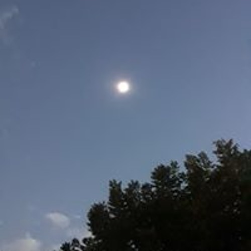 Stream Amy Bauer McIntire music | Listen to songs, albums, playlists ...